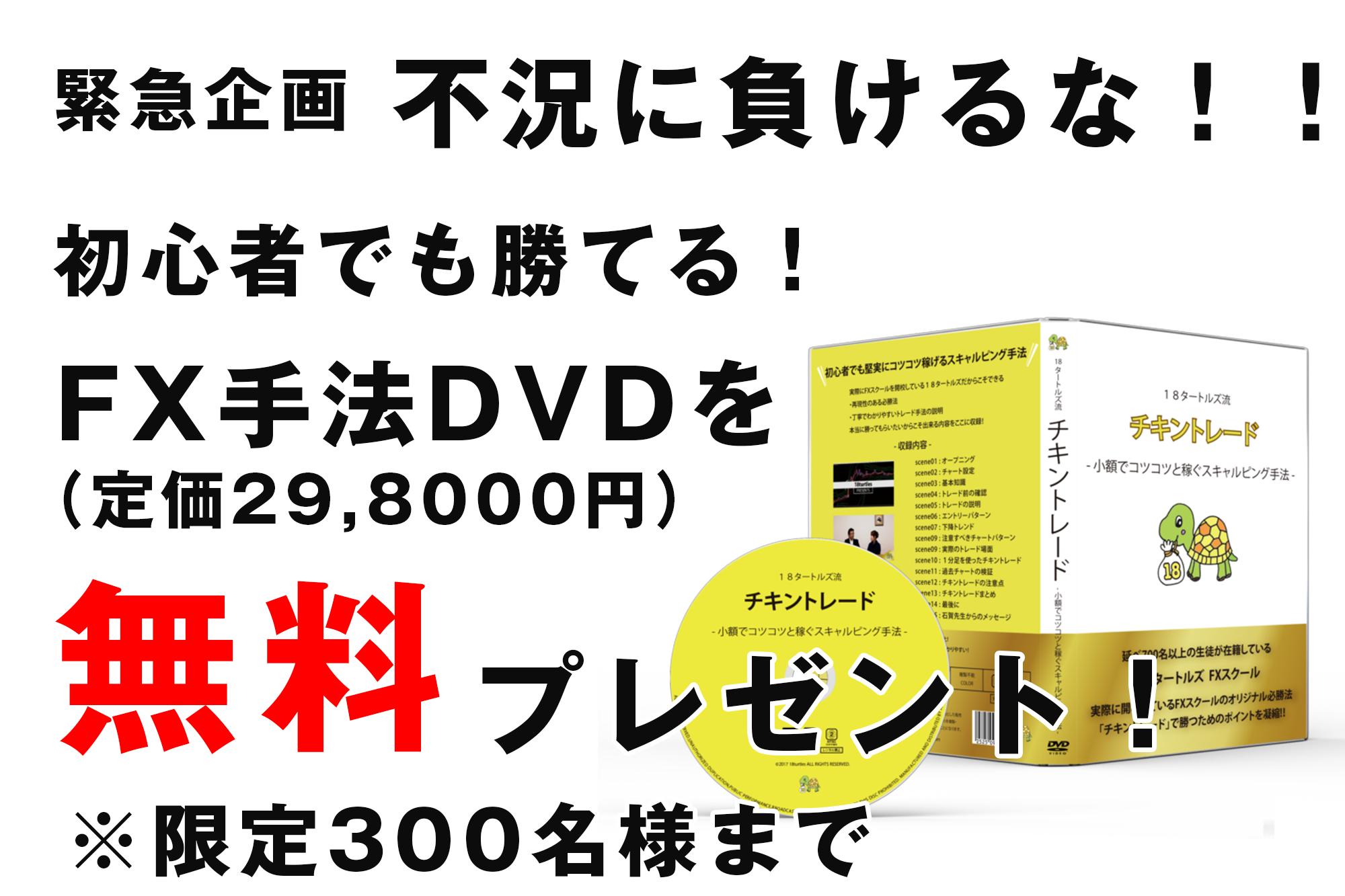 FX初心者用の手法DVD無料プレゼント - DVDプレゼント